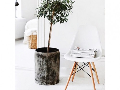 Eames Plastic Side Chair: dove la metti, sta (bene)! - Grazia