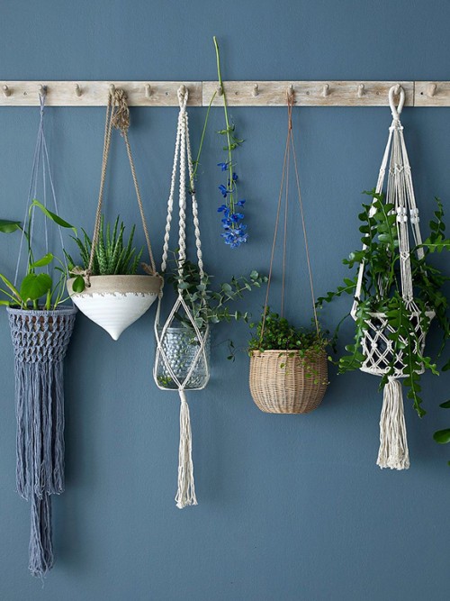 Decorare la casa con le piante appese - Grazia