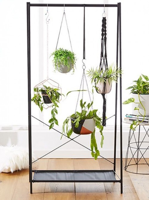 Decorare la casa con le piante appese - Grazia