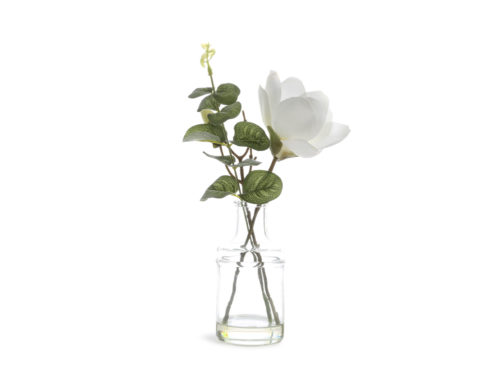 Primark Home lancia la collezione «Botanica» per la P/E 2019