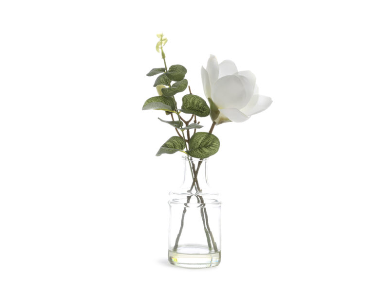 Primark Home lancia la collezione «Botanica» per la P/E 2019