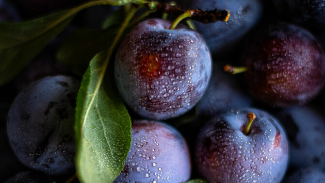 Le prugne fanno bene non solo all'intestino: 4 proprietà che non conoscete