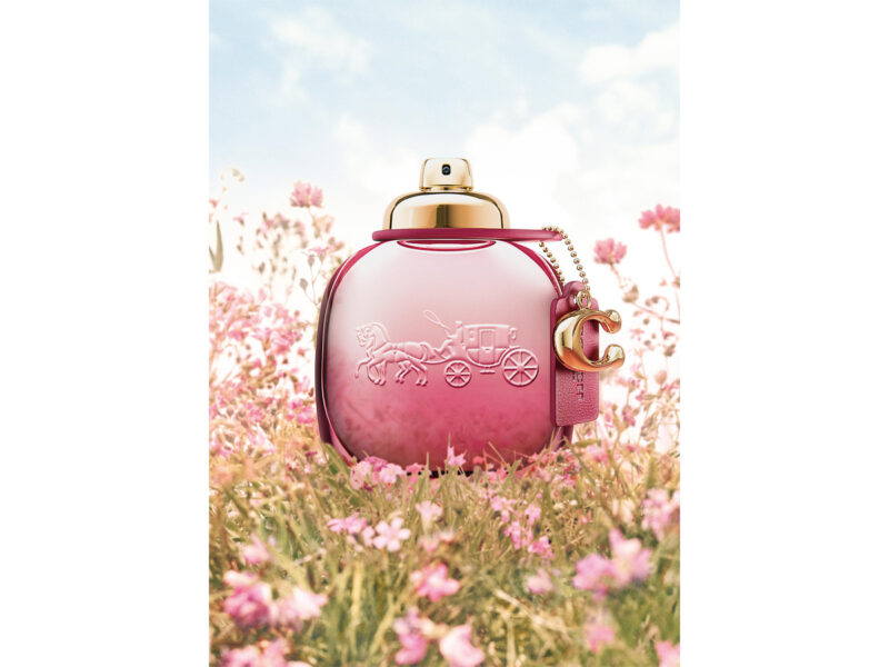 Profumi alla rosa: i migliori tra grandi classici e novità da non ...