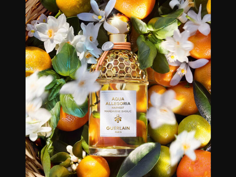 Migliori profumi agrumati donna, uomo e unisex: le novità e i grandi ...