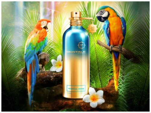 Profumo oud e frutta: migliori fragranze fruttate-legnose da scia - Grazia