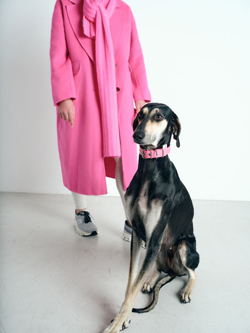 American Vintage: il pop up e la capsule collection per cani