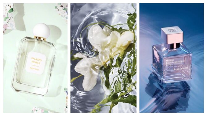 Profumi freschi: le migliori fragranze rinvigorenti - Grazia