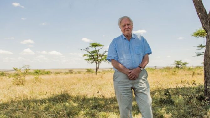 I documentari più belli di David Attenborough da vedere in streaming