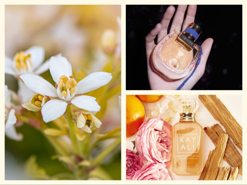I 12 migliori profumi ai fiori d’arancio e neroli per una sofisticata ...