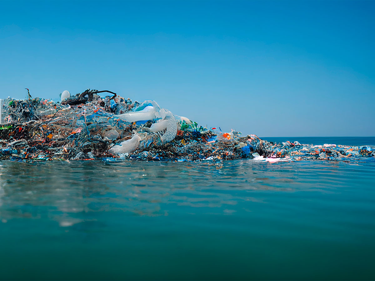 L’isola di plastica più grande dell’Oceano Pacifico ospita 46 forme di ...