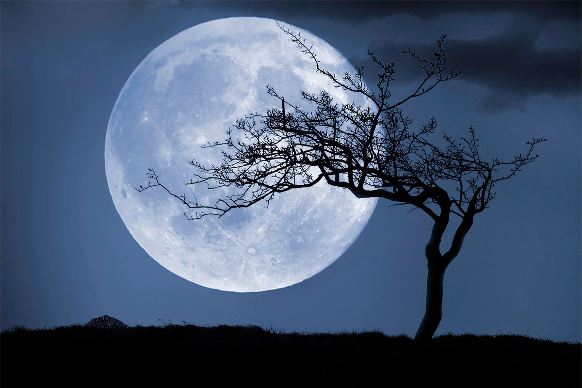 Luna blu del 31 Maggio: ecco dove vederla e perchè è speciale
