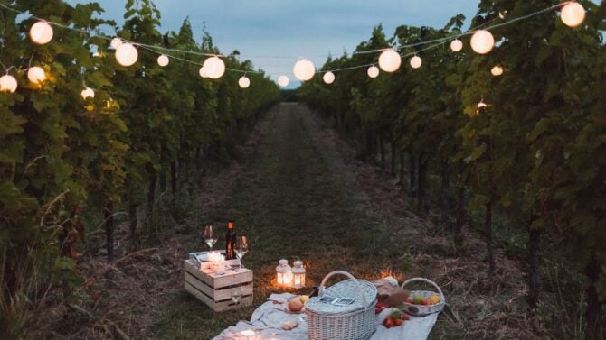 A meno di 30 minuti da Milano c’è un aperitivo picnic tra fiori ...